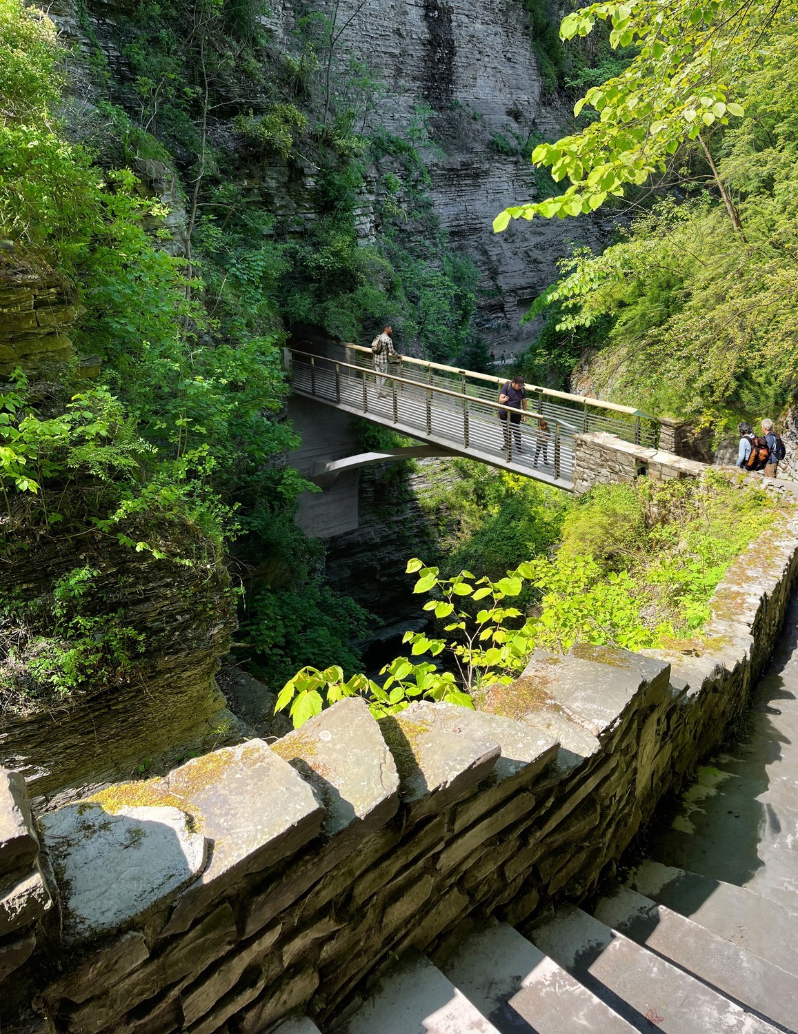Sentry Bridge at Watkins Glen State Park - sbp